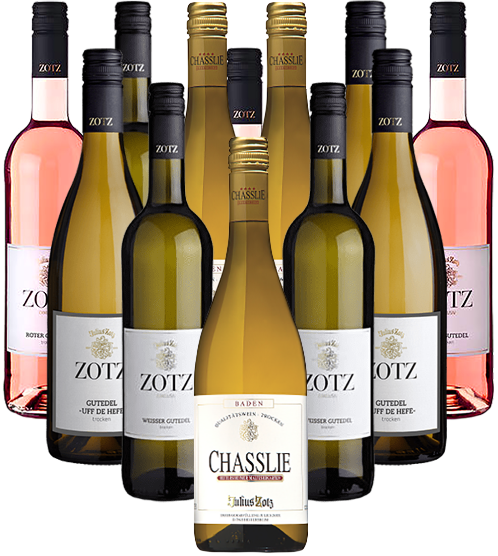 Julius Zotz Rivaner Gutswein QbA Weißwein Wein Baden Markgräflerland ...