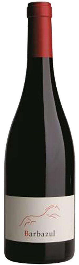 Barbazul Tinto Huerta de Albala Cadiz Spanien