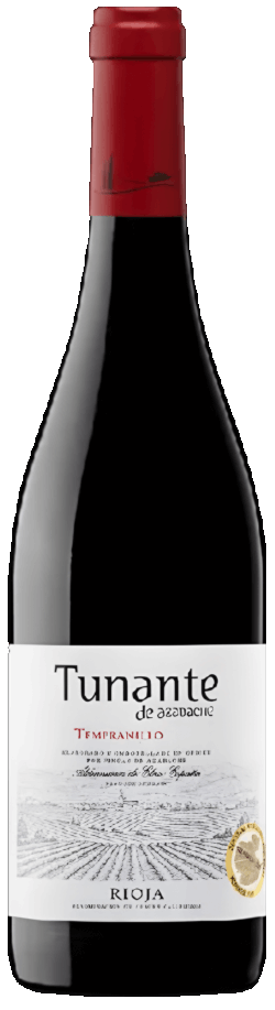Azabache Tunante Rioja | Tempranillo | Spanien